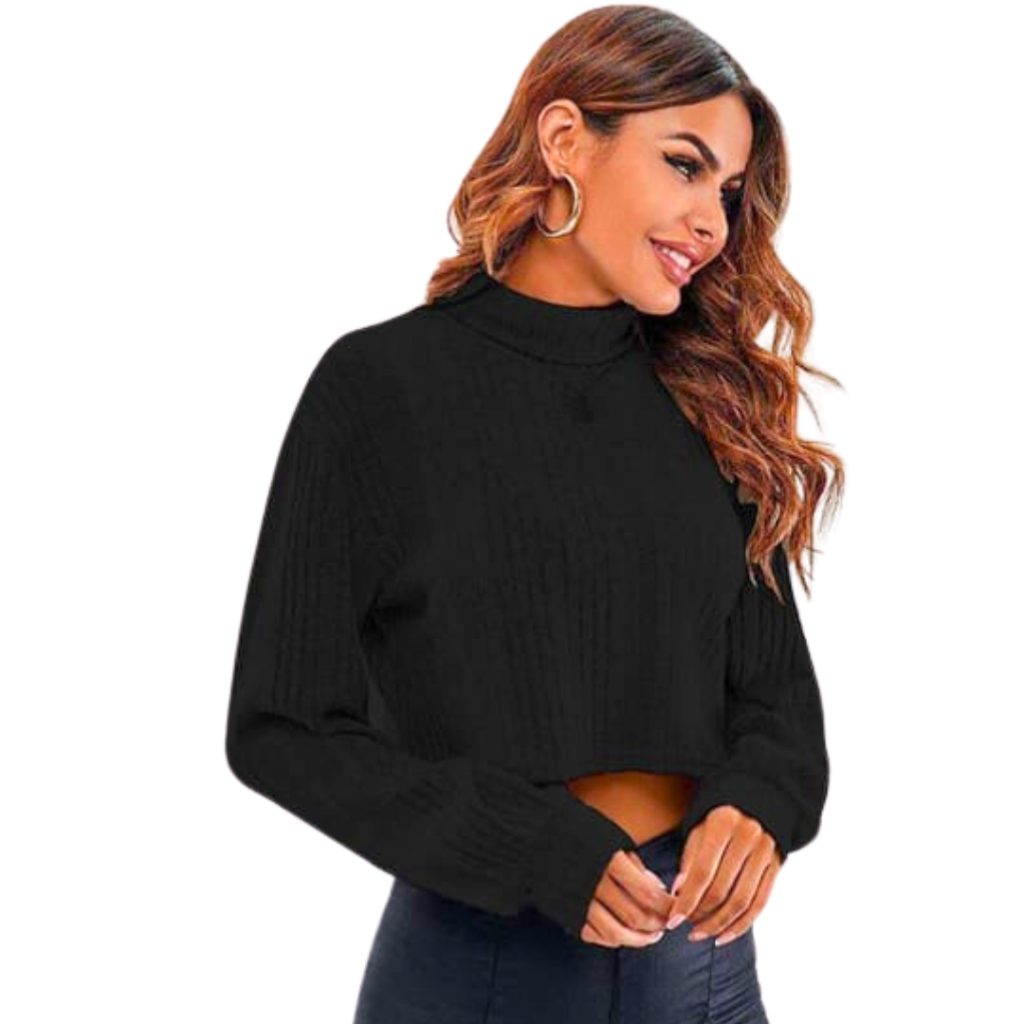 Crop top Knitted polar neck – The Wholesale Zone